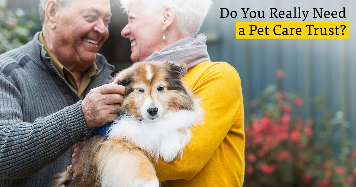 Pet Trusts: Is Your Pet Covered for Anything?